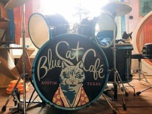 10 of the Most Adorable Cat Cafes in the US & Canada