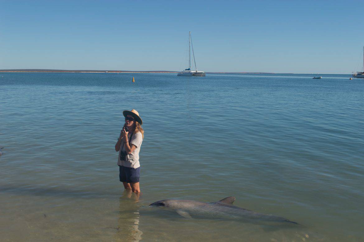 The Very Best 2-3 Week Western Australia Road Trip Itinerary