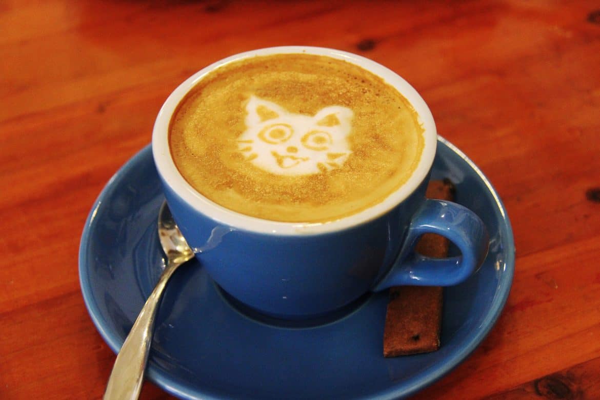 10 of the Most Adorable Cat Cafes in the US & Canada