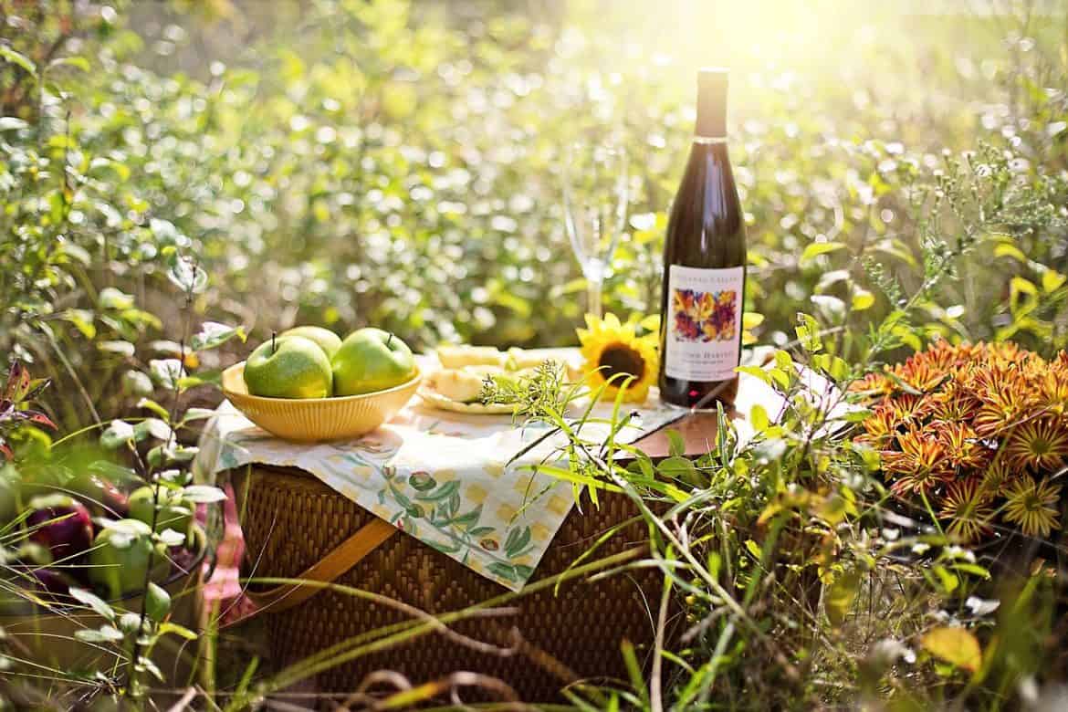 How to Plan a Picnic Date That Your Partner Will Adore