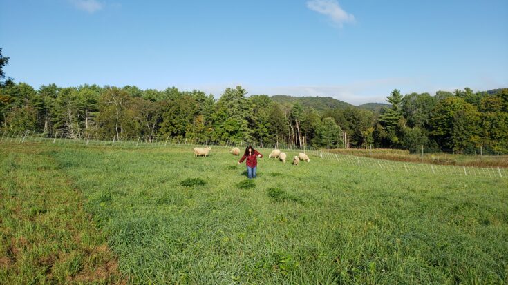 Fat Sheep Farm: The Perfect Vermont Farm Stay