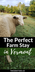 Fat Sheep Farm: The Perfect Vermont Farm Stay